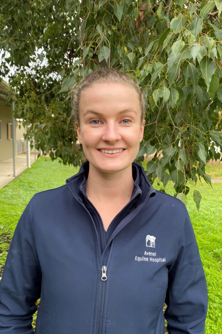 Team Archive - Avenel Equine Hospital