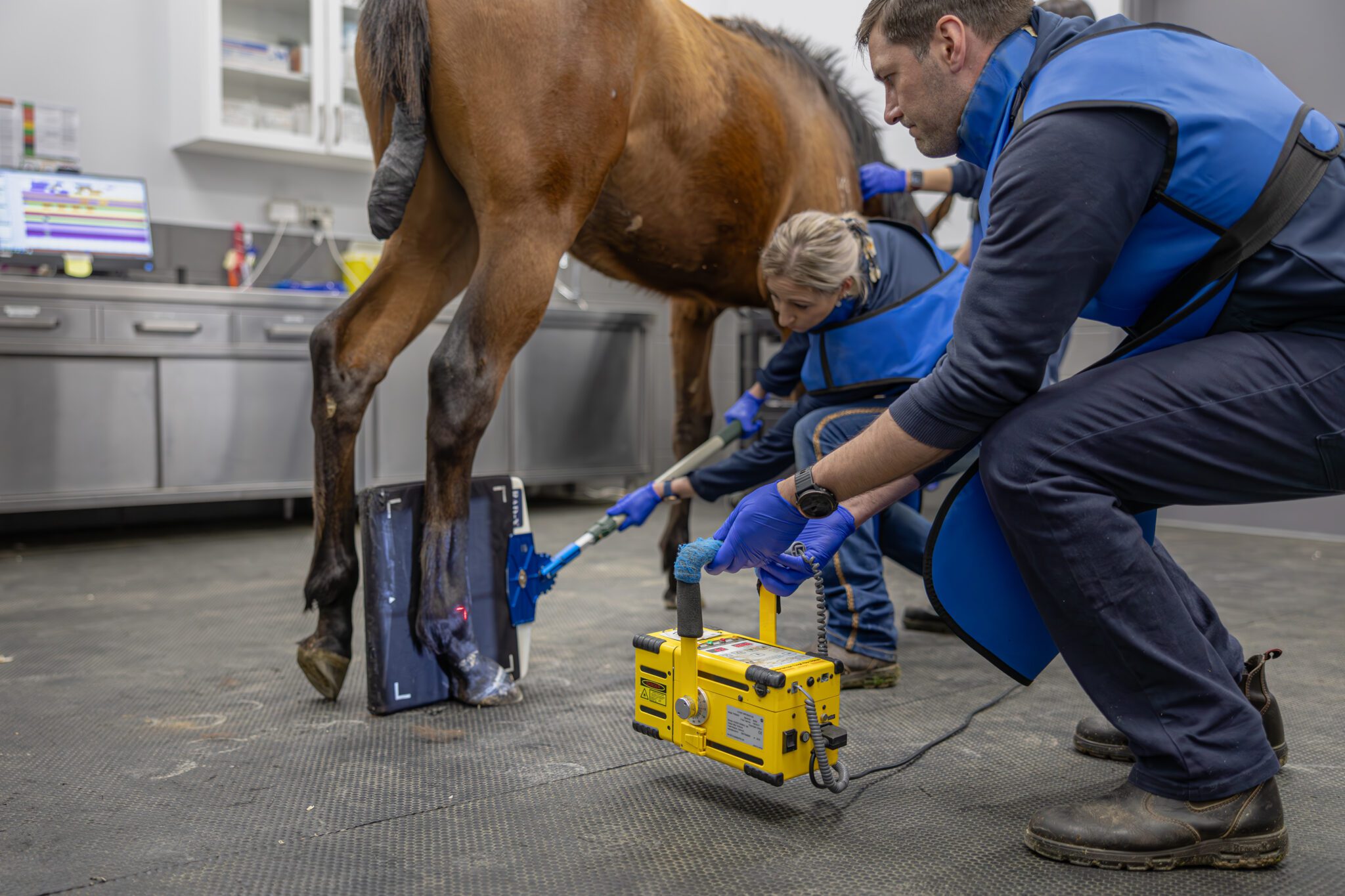 Horse Diagnostic Imaging Services: Avenel Equine Hospital